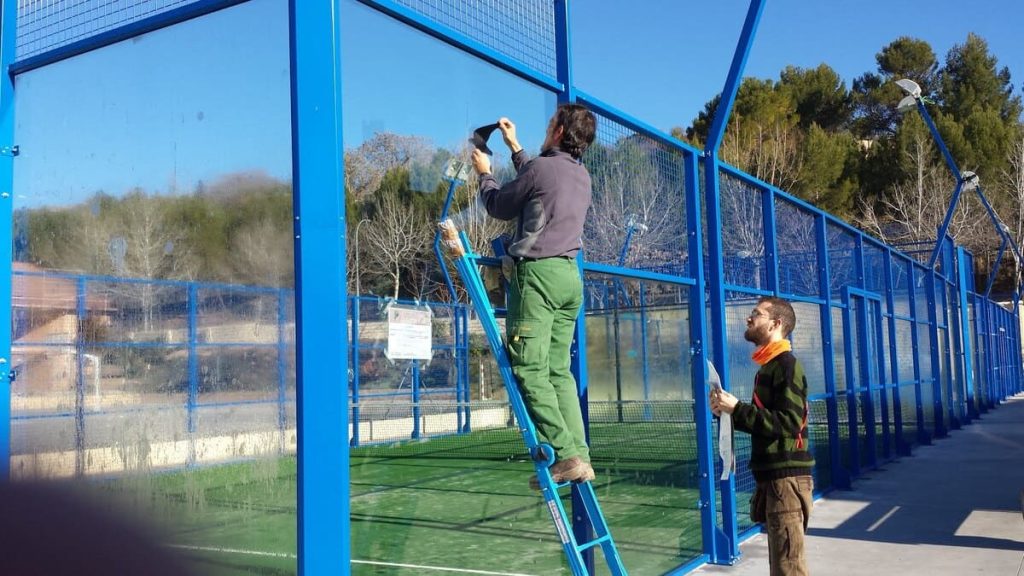El pádel… ¿Un peligro para las aves?